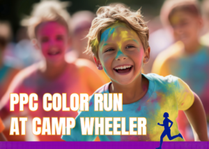 Signs Up! | Continuing the Journey on the Scouting Trail